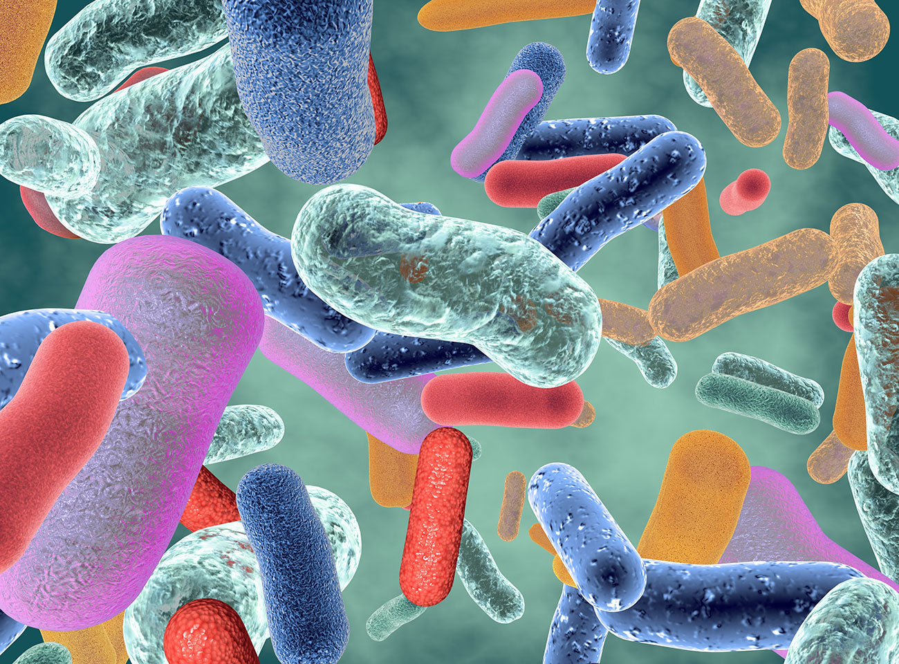 Understanding prebiotics, probiotics, postbiotics and synbiotics – Florasophy